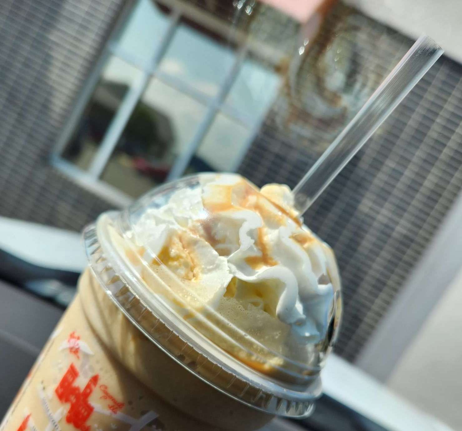 2023’s Best Biodegradable Straws: Home Compostable? – Konzaware